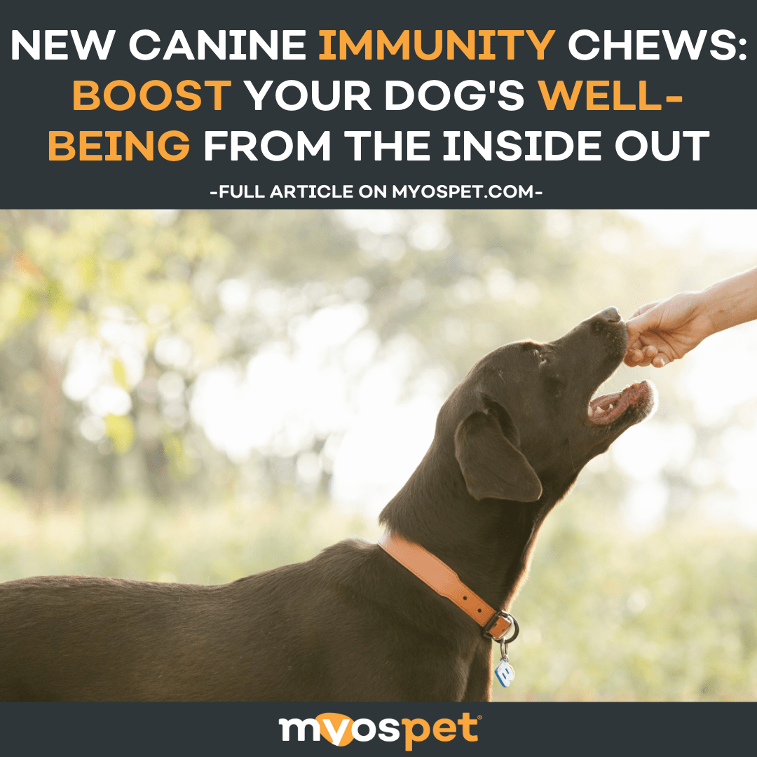 NEW Canine Immunity Chews: Boost Your Dog's Well-Being from the Inside ...