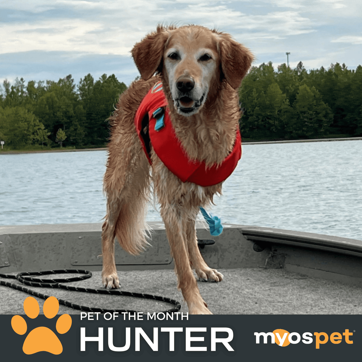 May Pet of the Month: Hunter – Myos Pet