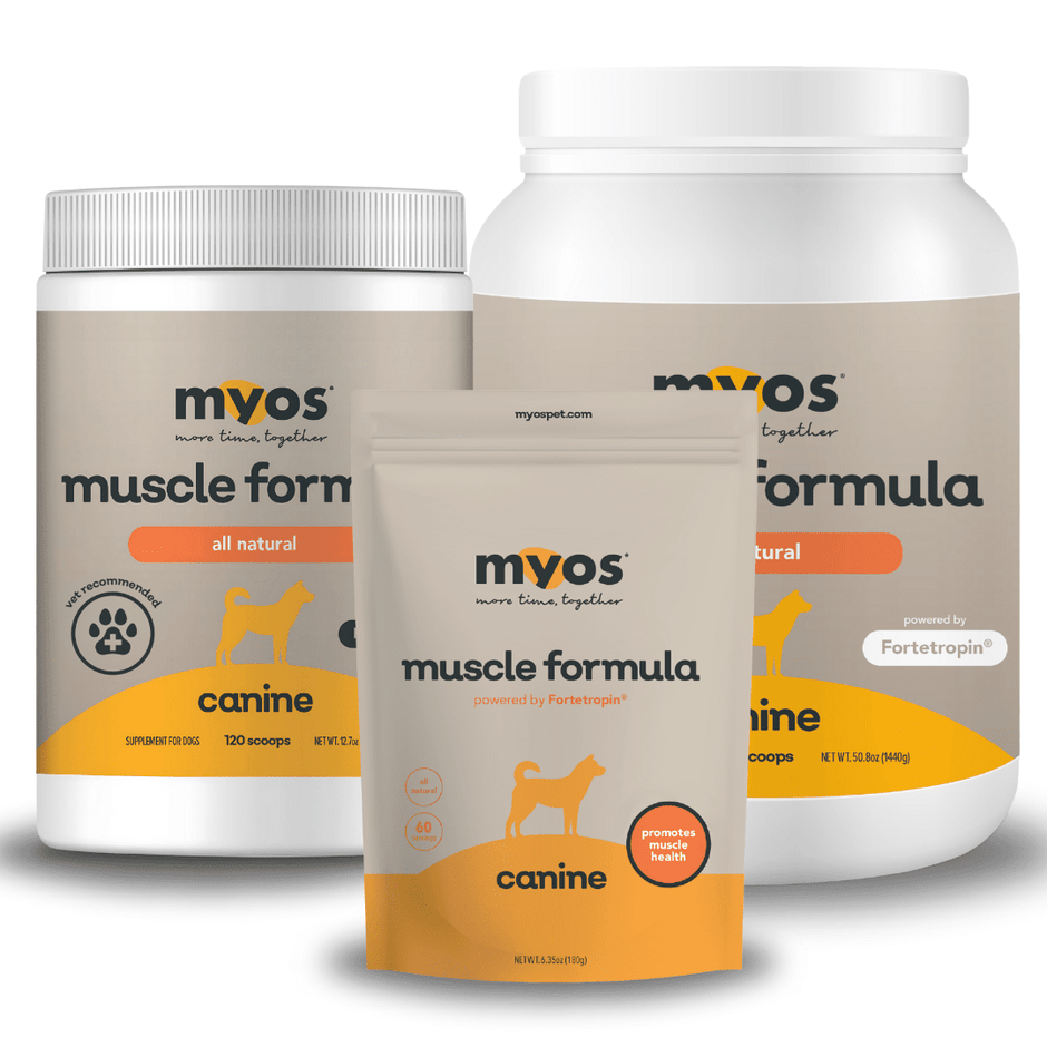 MYOS Canine Muscle Formula®Now Covered at 90% by Most Pet Insurance Co ...