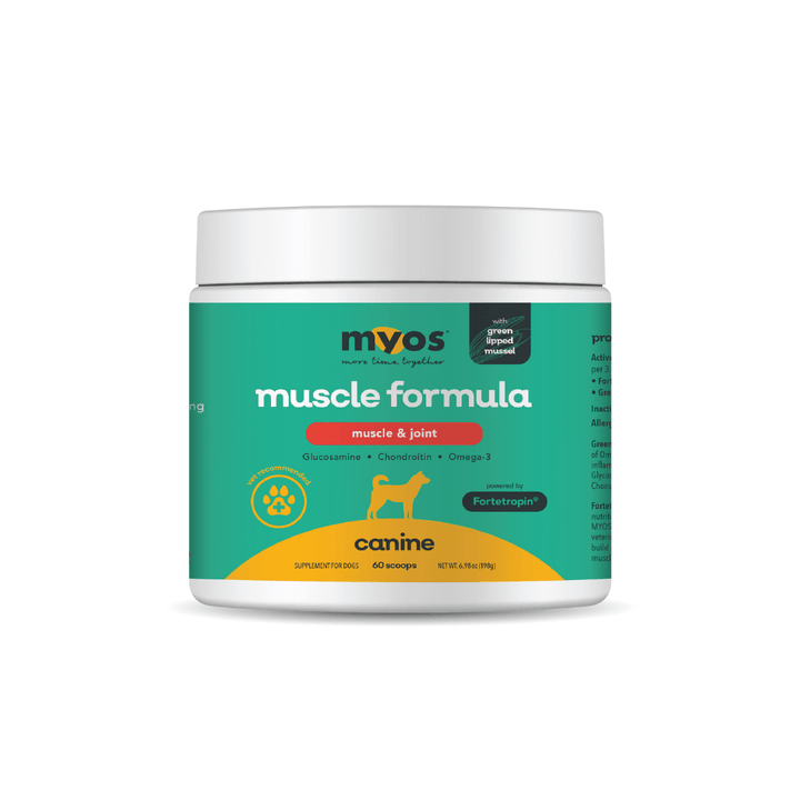 Muscle Atrophy in Dogs: My Dog is Losing Muscle… What Now? – Myos Pet