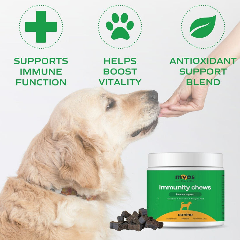 Canine Immunity Chew – Myos Pet