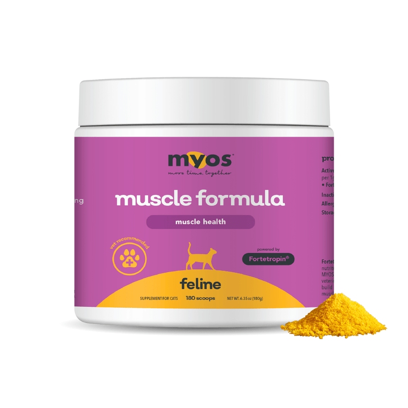 Feline Muscle Formula – Myos Pet