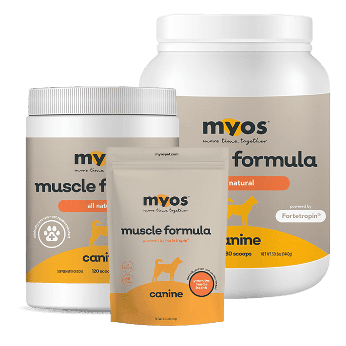 Our MYOS Muscle Formula Products – Myos Pet