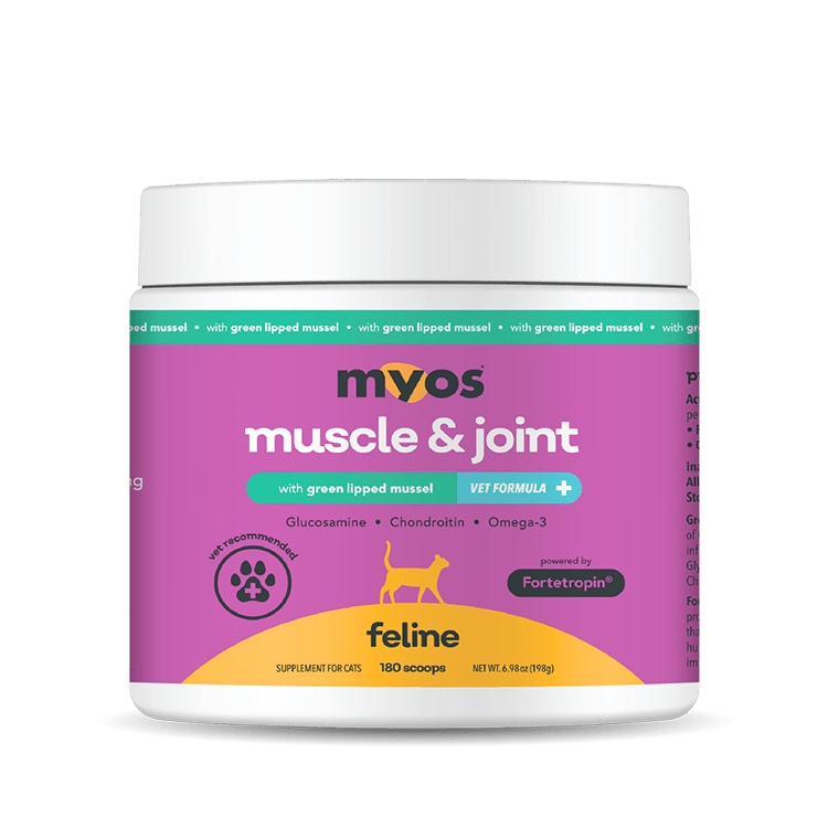 Vet Strength Feline Muscle and Joint Formula – Myos Pet