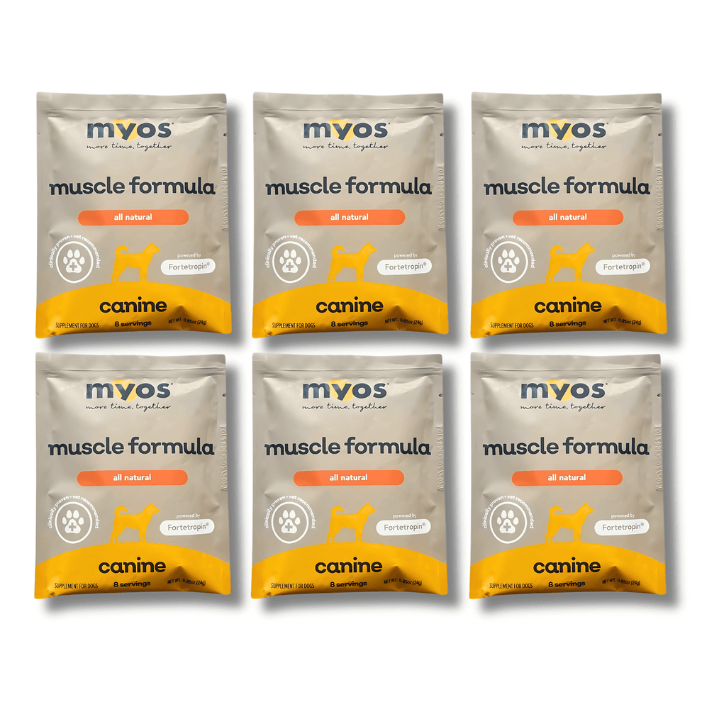 MYOS Canine Muscle Formula – Myos Pet