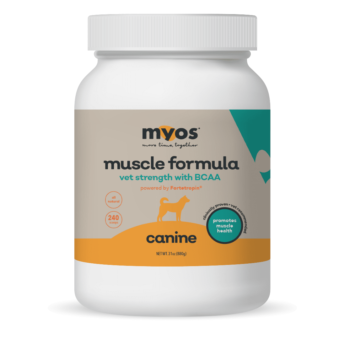Myos Canine Muscle Formula VET XL Canister @ 880g ea – myospet.com